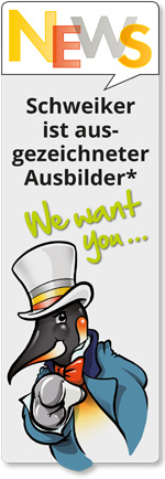 SCHWEIKER.de - Fenster, Türen, Aluminiumtüren & Rollläden / Schweiker